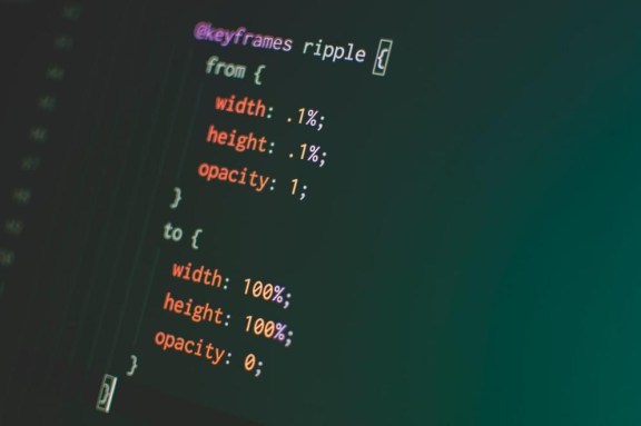 How Do I Make An Image Stay The Same Size In CSS 