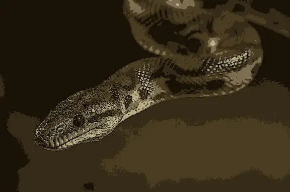 What Are The Features Of Python 