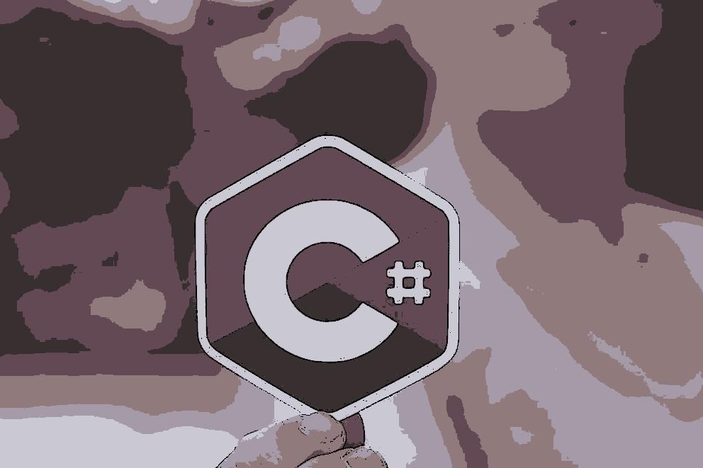 Can I Master 2 Programming Language 