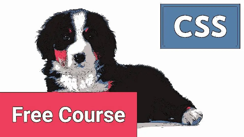 How Do I Set Two Background Colors In CSS 