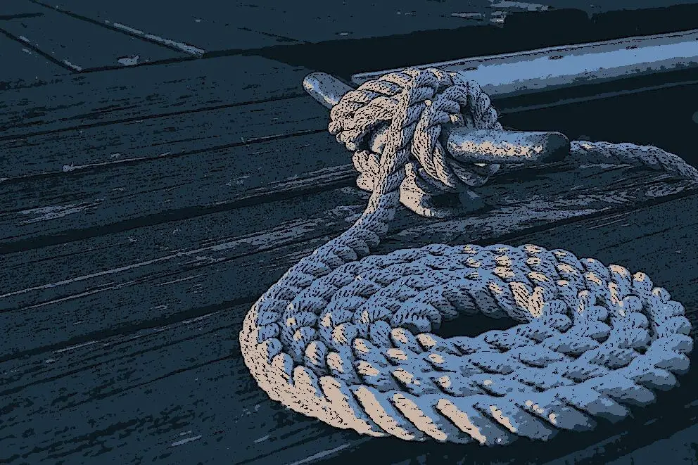How Does The Knot Remind Guests To RSVP 