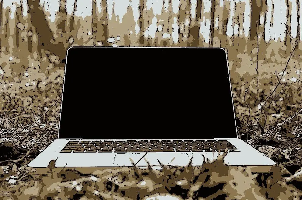 Which Computer Field Is Best For Future 